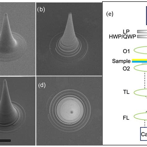 Sem Micrographs Of The Prepared Tips A Bare Tip B Tip With Download Scientific Diagram