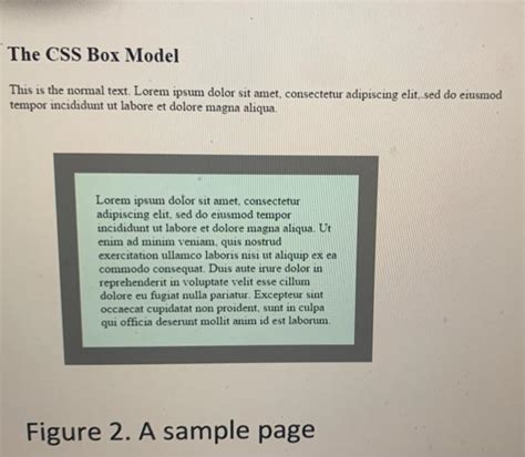 Solved Exercise Understand The CSS Box Model The Image Chegg