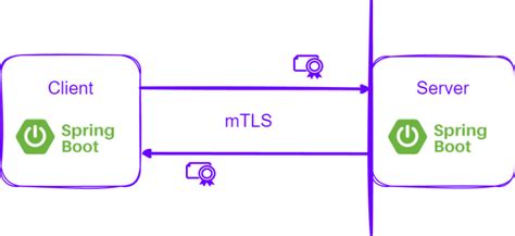 mtls client authentication with spring boot