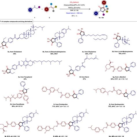 Synthesis Of Functionalized γ Lactams Using The Exhaust Gas Reaction Download Scientific