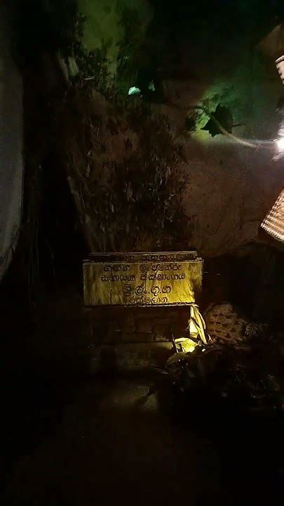 කැරකෙන කූඩු Youtube