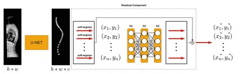 Scoliosis Detection Using Deep Neural Network Deepai