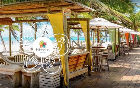 Hibiscus Beach Club All You Should Know Before Going 2026 Reviews
