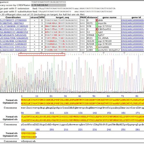 Sanger Sequencing And Sequence Alignment Analysis Results A Sanger Download Scientific