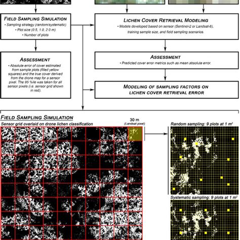 Overview Of The Analysis Undertaken Top Example Sensor Grid Red At Download Scientific