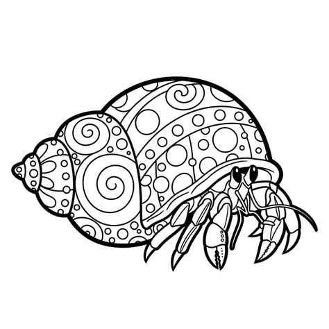 Hermit Crab Coloring Pages Coloringlib