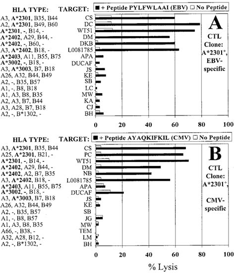 Promiscuous Hla Restriction By Ctl Clones Raised From Hla A2301 Download Scientific Diagram