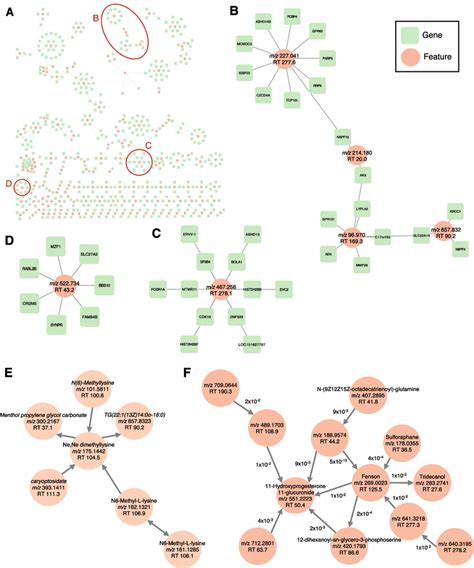 Gene Feature Network The Gene Feature Network A With Its Modules