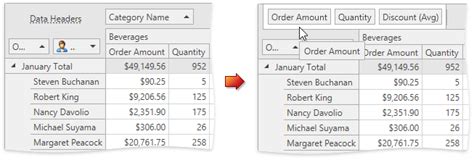 Data Header Area WPF Controls DevExpress Documentation