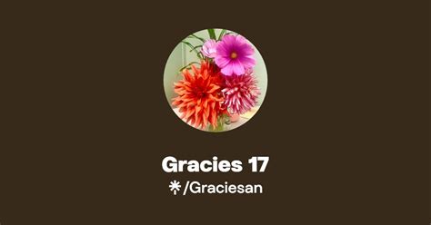 Gracies 17 Instagram Tiktok Linktree