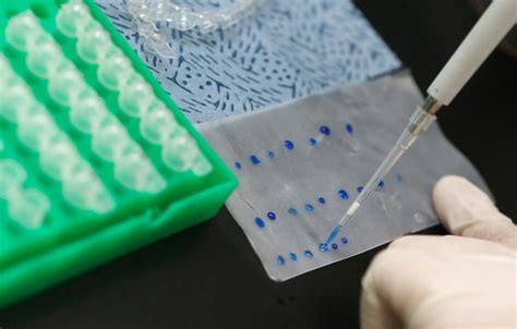 European Union Urges Testing Of U S Wheat Imports For Unapproved Strain The Washington Post