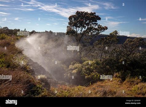 Steam Vents Volcanic Fumes Kilauea Volcano Hawaii Volcanoes