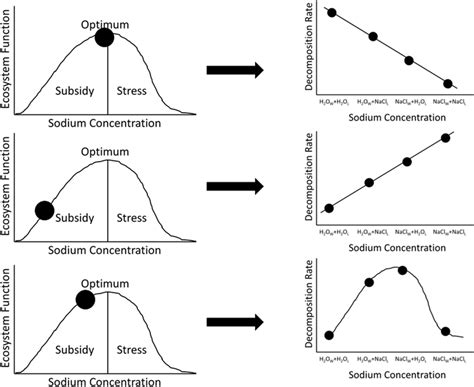 Predictions Of The Sodium Subsidy Stress Sss Hypothesis Which Posits Download Scientific