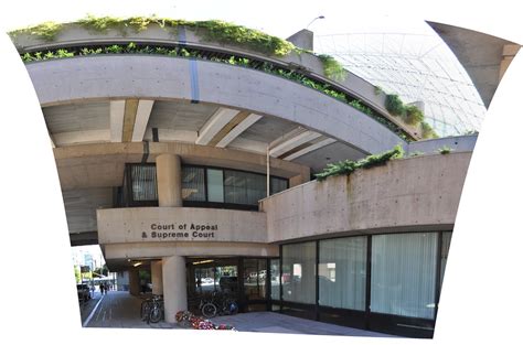 The Difference Between Sex Gender And Sexuality Introduction To Sociology Rd