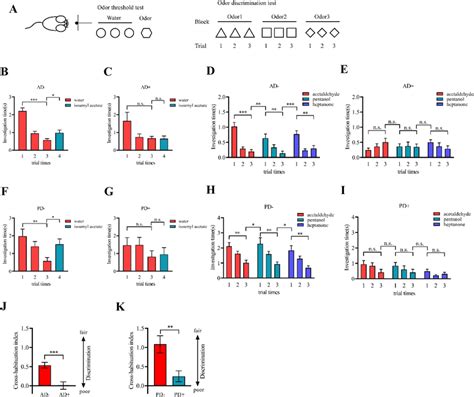 6 Month Ad And Pd Mice Showed Olfactory Defects A Behavioral Diagram