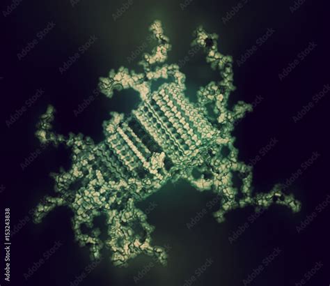 Alpha Synuclein Fibril Structure Determined By Solid State Nmr