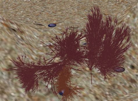 Three Algae Using Parametric L System With Stochastic Behaviour Download Scientific Diagram