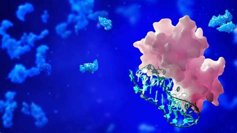 scale up proteomics with precision technology networks