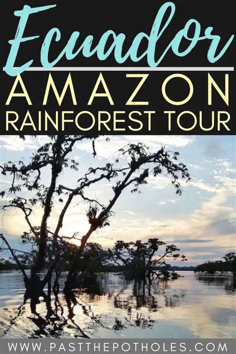 Ecuador Amazon Rainforest Tours Our Personal Experience And Tips Past The Potholes