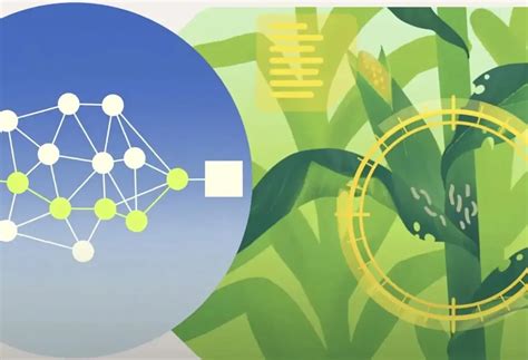 Learn How Our Clients Use Labellerrs Ai Data Engine To Get High
