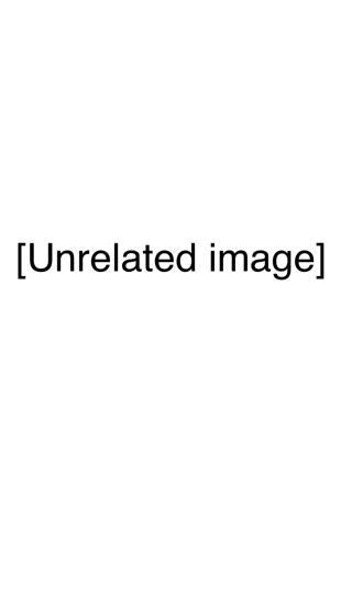 MODS ARE ASLEEP UPVOTE AN UNRELATED IMAGE R SUBREDDITNAME