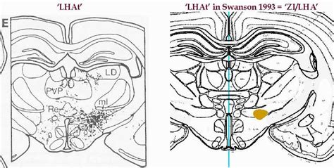 An Example Of The Usefulness Of Spatial Indexing For Interpreting The