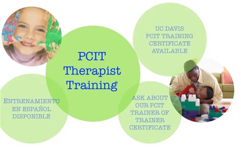 Pcit And Pc Care Therapist Training Healthyfocus 3