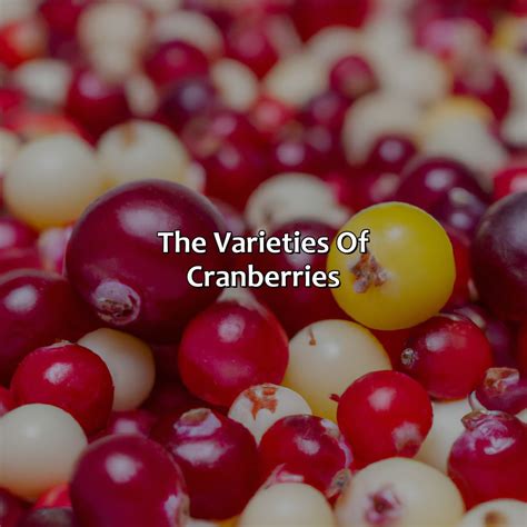 What Color Is Cranberry Colorscombo Com