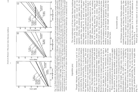 A Shell Width B Shell Height And C Shell Circumference As A Download Scientific Diagram
