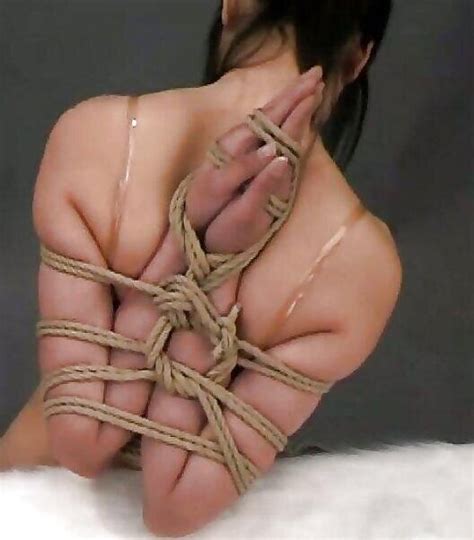 Vetuscanis Arms Pin 21967933