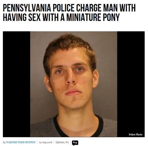 Brony Got Caught For Having Sex With Miniature Pony Rjustneckbeardthings