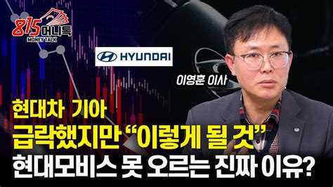현대차 기아 주가 급락한 이유 그러나 결국은 지배구조 정점인 현대모비스 화나는 이유 이영훈 이사 Youtube