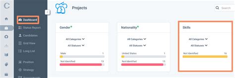 Custom Fields Project Dashboard Knowledge Base