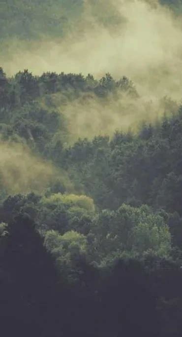 큰 배를 타고 항해하는 꿈 해몽과 모험의 시작