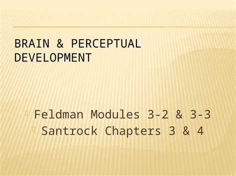 Pptx Brain And Perceptual Development Dokumentips