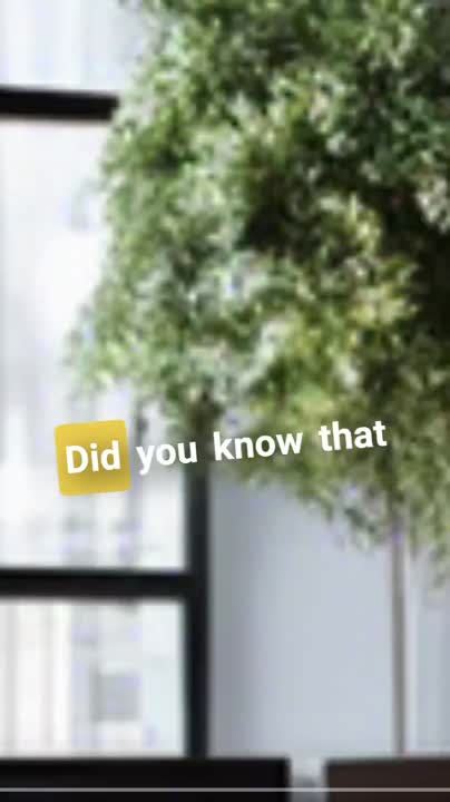 Web Perfection Technology On Linkedin Skillsrequired Wordpress Shopify Laravel