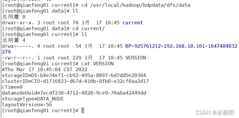 hadoop的datanode没有启动 datanode没启动会有什么影响 csdn博客