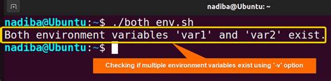 check if environment variable exists in bash [6 methods] linuxsimply