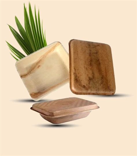 8 Eco Friendly Rectangular Areca Leaf Food Box Or Lunch Box
