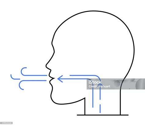 측면 View 기류 화살표가 있는 인간 호흡 메커니즘의 다이어그램 건강관리와 의술에 대한 스톡 벡터 아트 및 기타 이미지 건강관리와 의술 건강한 생활방식 과학