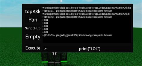 Make A Simple Ss Roblox Executor By Savagecatshackr Fiverr