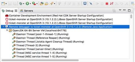 Using Red Hat Jboss Developer Studio To Debug Java Applications In The Red Hat Container