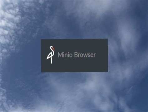 how to securely deploy minio s3 object storage with docker behind
