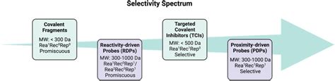 The Selectivity Spectrum Of Reactive Molecules And Covalent Probes Download Scientific Diagram