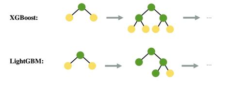 bioinformatics machinelearning lightgbm datascience
