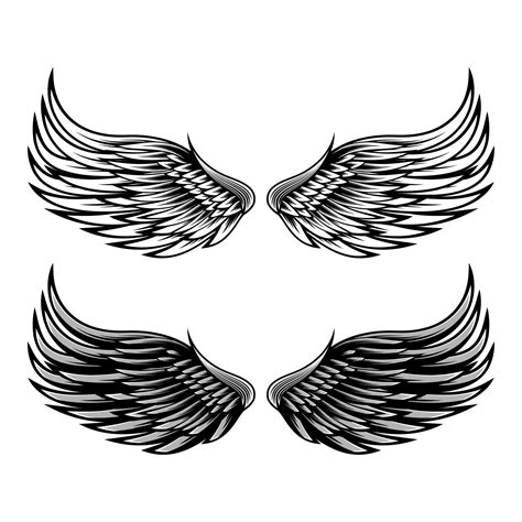 Illustration Of Wings Vector Design 14536326 Vector Art At Vecteezy