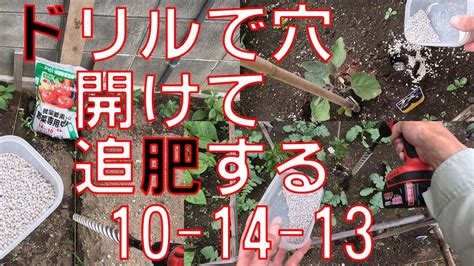 【追肥・穴肥】25mmのアースドリルを使って穴を開け、肥料を入れていきます。ナスの生育が悪いようです。【スターエム アースドリル 両溝型