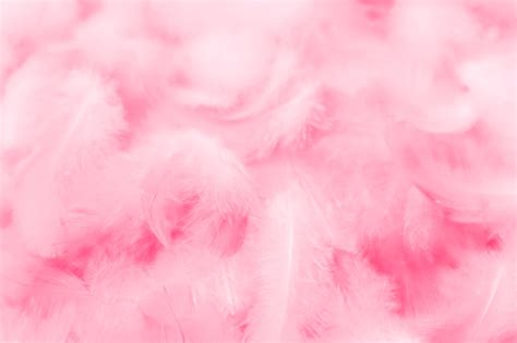 흰색 배경에 아름다운 추상 적색 보라색과 파란색 깃털과 흰색 패턴과 파란색 배경에 부드러운 흰색 핑크 깃털 질감 깃털에 대한 스톡 사진 및 기타 이미지 Istock