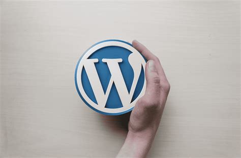 how to create effective wordpress workflows wp reset