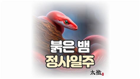 붉은 뱀을 뜻하는 정사일주 네이버 블로그